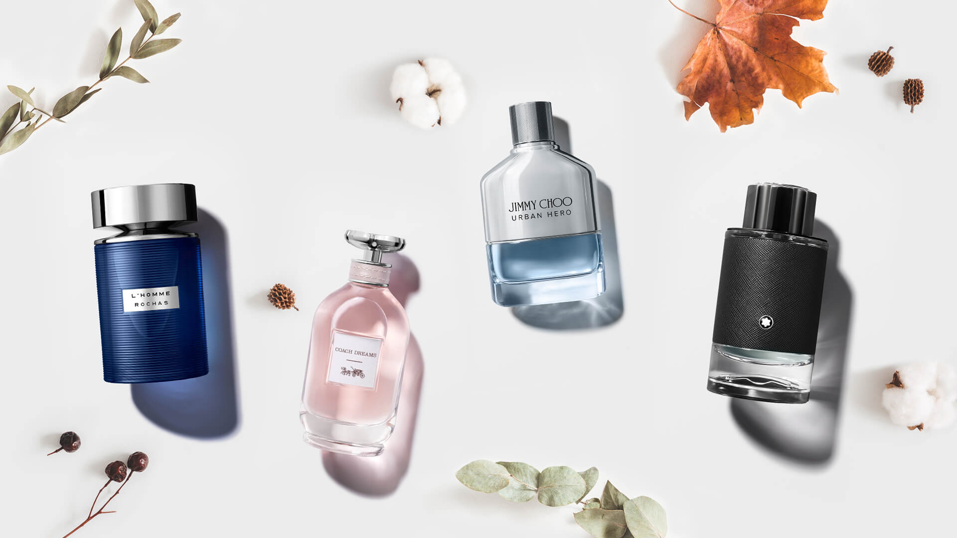 Index Interparfums Finance
